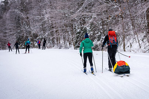 Entrevue – Les cartes d’accès pour le parc de la Gatineau du Réseau ...
